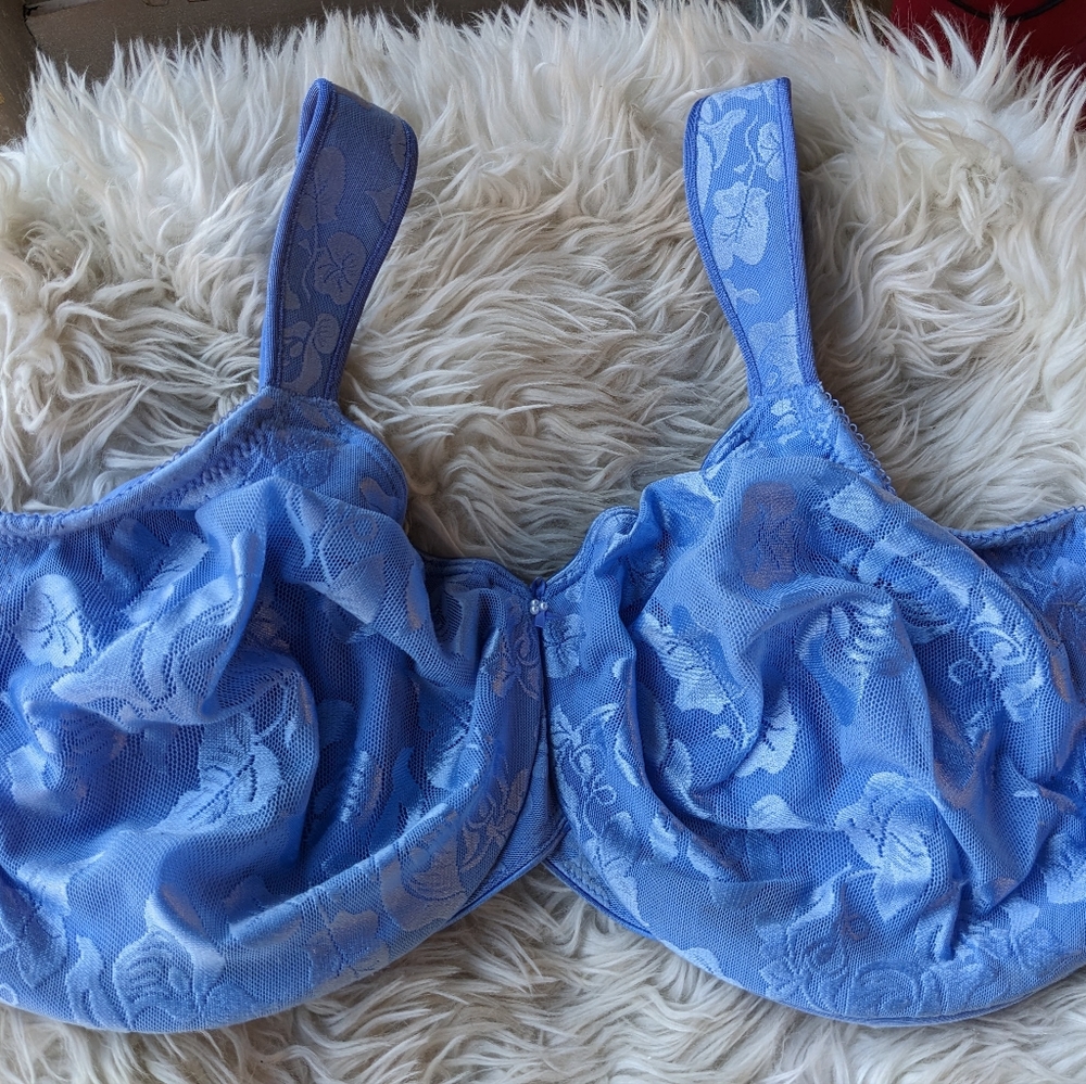 Women's Wacoal Blue Full Figure Bra Size 38g - Gem